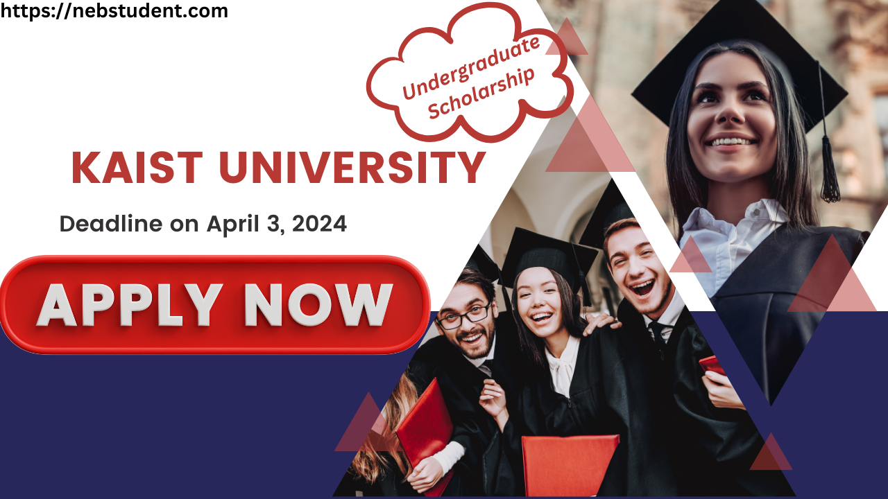 Undergraduate Scholarship in KAIST University For International ...